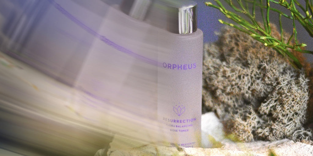 ORPHEUS - Rose Stem Cells